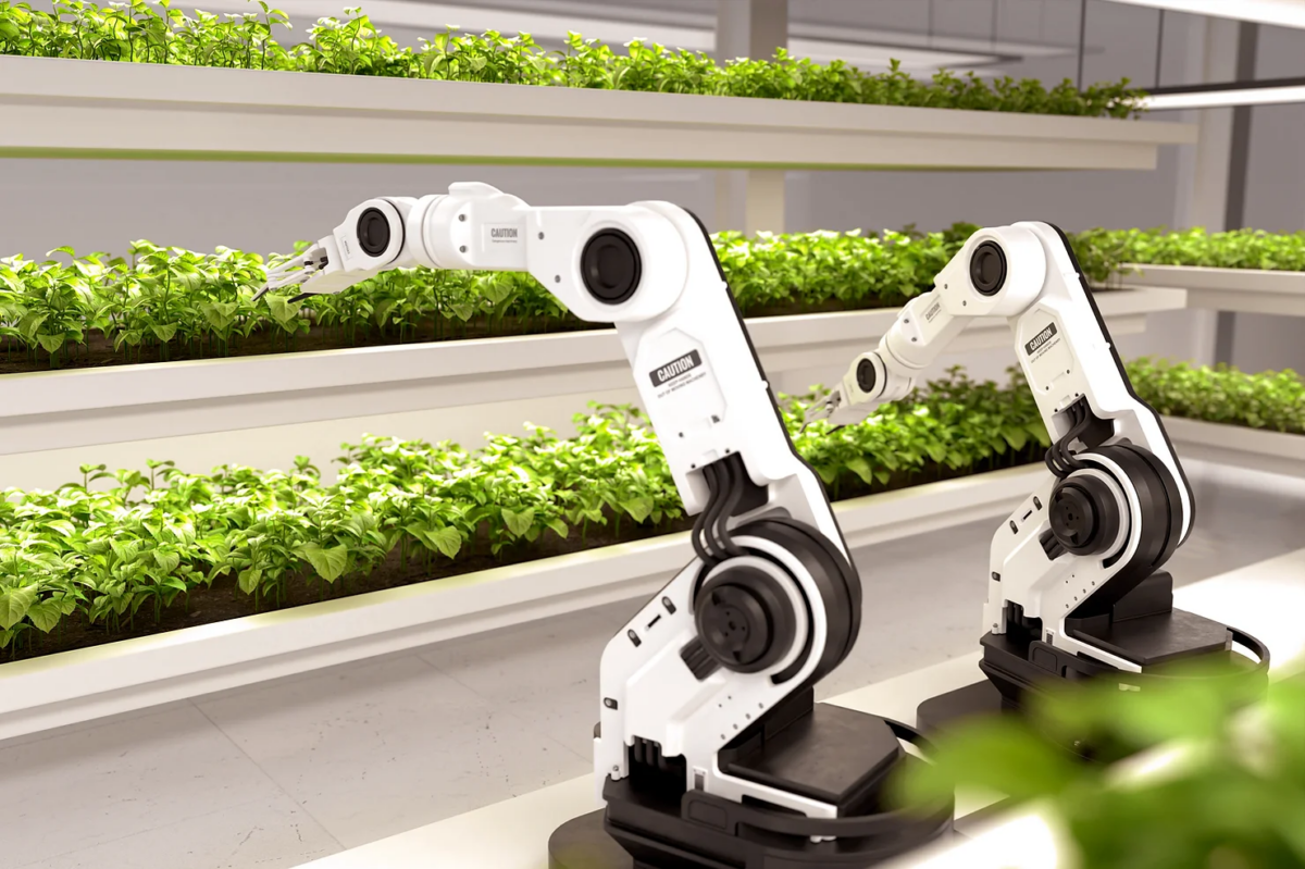 Mapping the Agtech and Foodtech Ecosystem in Latin America